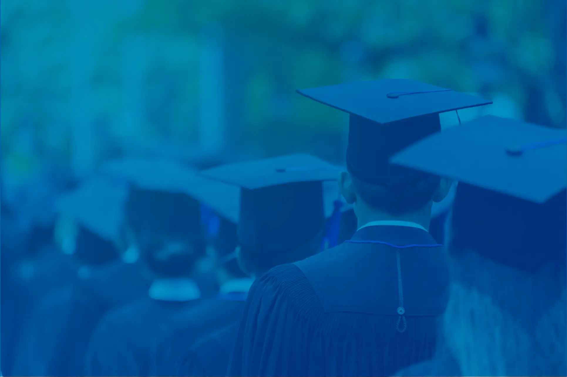 PIMT: Your Path to Excellence in Business, Wellness, and IT